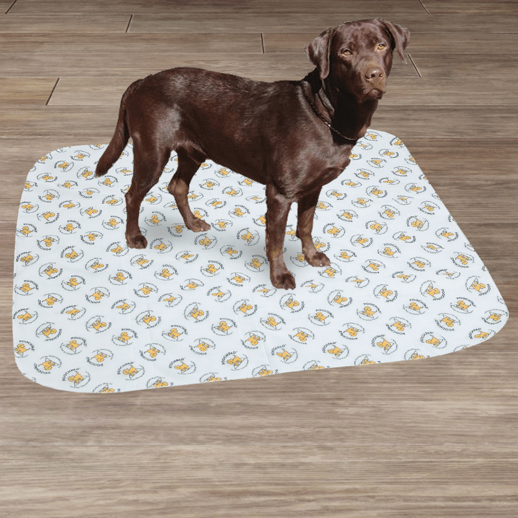 Home | PoochPad® Products