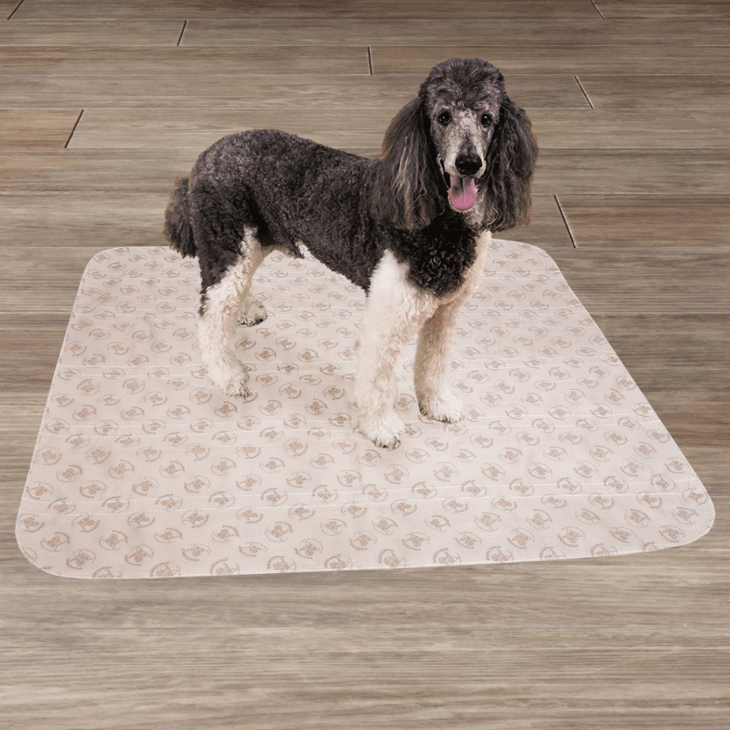 Home | PoochPad® Products